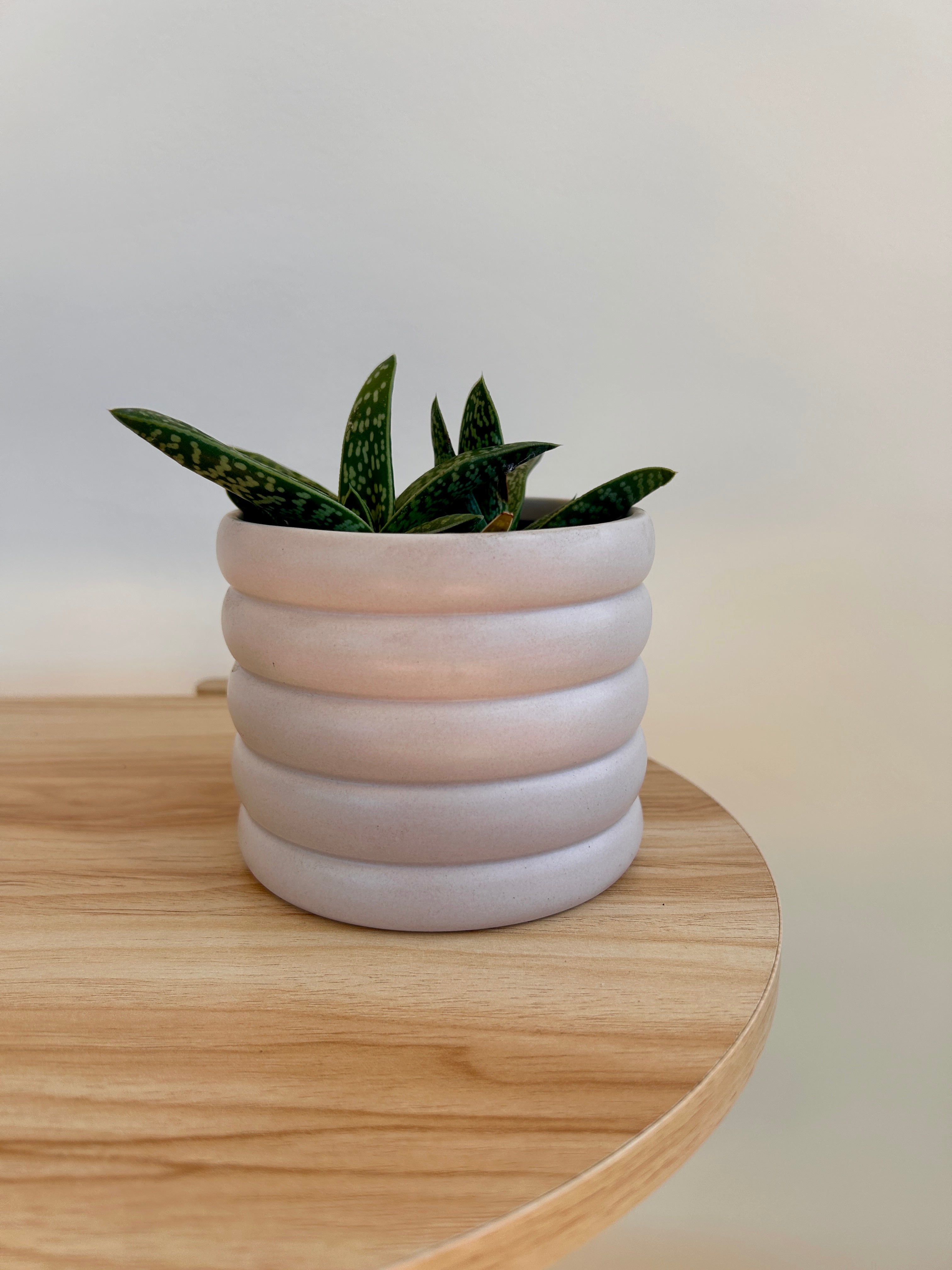 Beige Coil Ceramic Plant Pot for Indoor Plant 10cm Boho Chic Décor ...